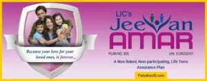 LIC Jeevan Amar Plan 855 Review, Features & Benefit with Example
